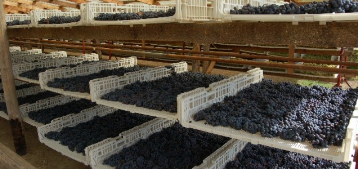 Aleatico Passito dell’Elba DOCG | Vinorandum | A fine wine magazine